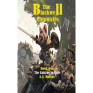 Realm Breaker Fate Breaker, Book 3, (Hardcover) - Walmart.com