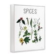 Stupell Industries Spices Identification Chart White Framed Giclee Art ...