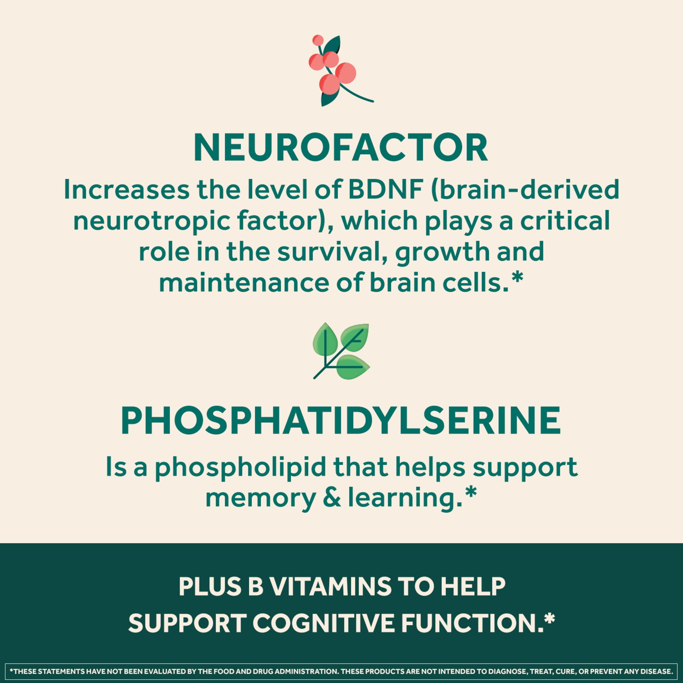 Neuriva Ultra Brain Health Supplement, Vitamins B12 & B6, Support for ...