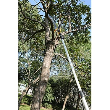 6-10 Foot Tree Pruner 2 Sections Extendable 4 Nodes Adjustable, Cut and Hold Pruning Trimmer ...