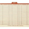 Free Shipping! End Tab Poly Out Guides, Two-Pocket Style, 1/3" End Tab ...
