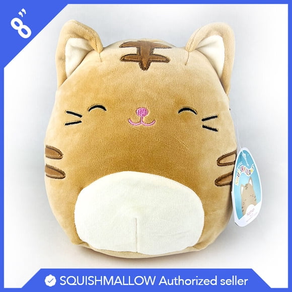 Orange Tabby Cat