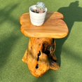 18.9" End Table, Natural Cedar Stump Stool, Live Edge Side Table, Plant ...