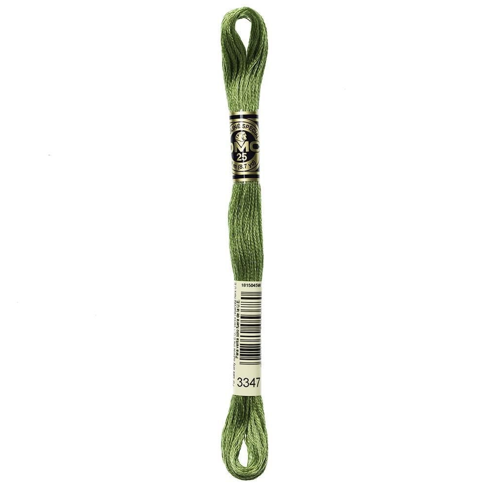 Click here for Dmc Green Cotton 6 Strand Floss 8m prices