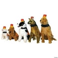 Rasta Imposta Adult Fireball Bottle Dog Costume - Size Large/X Large ...