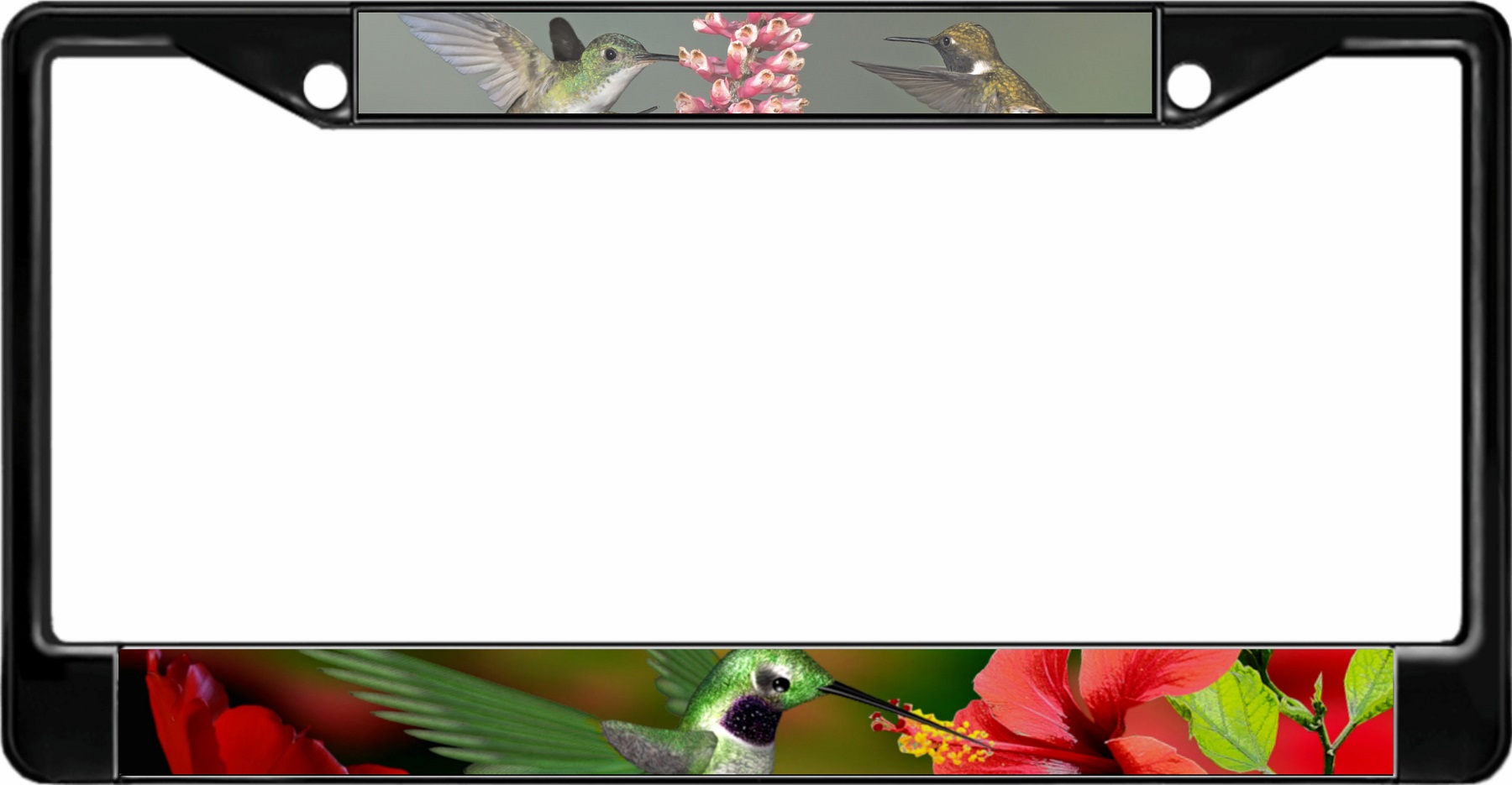Hummingbirds Black License Plate Frame - Walmart.com