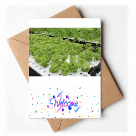 Waterless Cultivated Vegetables Welcome Back Greeting Cards Envelopes ...
