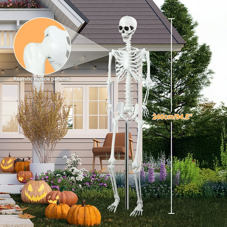 12 Ft 7.9ft Giant Halloween Skeleton - Full Body Poseable Realistic ...