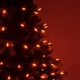 Wintergreen Lighting Orange LED Christmas Tree Lights, 70 Faceted ...