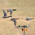 Spinning Wing Motion Duck Decoys, Floating Duck Decoy, Spinning Duck ...