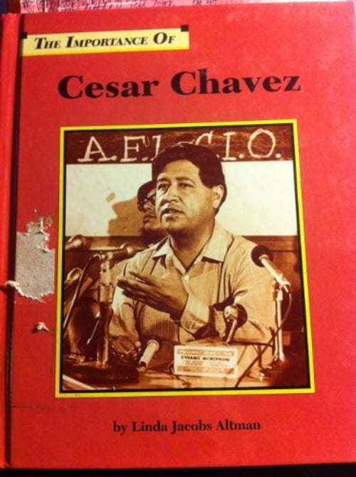Pre-Owned Cesar Chavez (Library Binding) 9781560060710 - Walmart.com