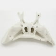 Human Sphenoid Anatomical Model Human Skeleton Model Temporal Bone ...