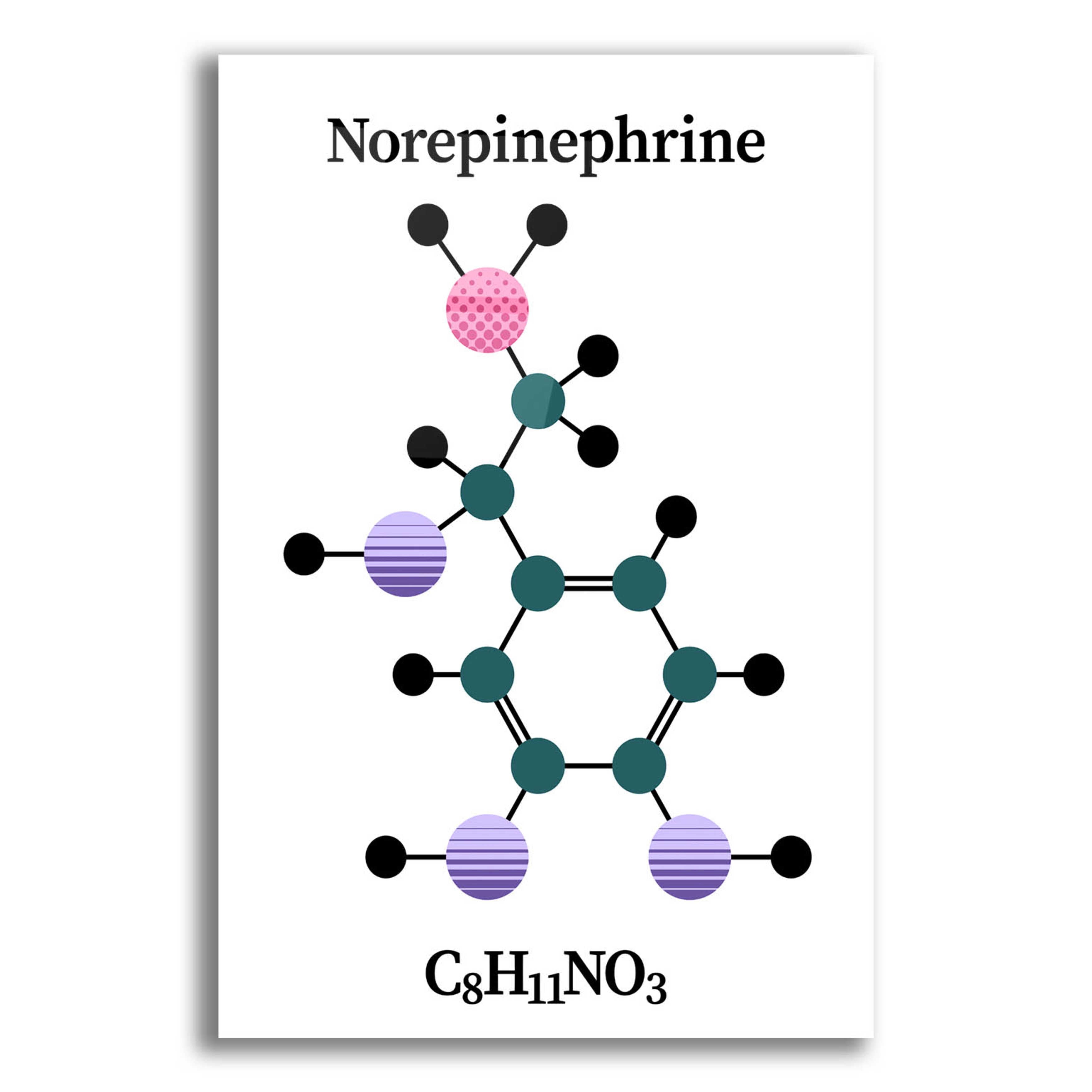 Epic Art 'Norepinephrine Molecule' by Epic Portfolio, Acrylic Glass ...