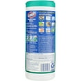 Clorox Disinfectant Wipes 7x8 Fresh Scent 75 Wipes Per Canister (Case ...