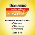 Dramamine Chewable Tablets for Kids, Grape Flavor, 8 CT (Pack - 6 ...