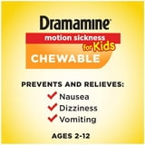 Dramamine Chewable Tablets for Kids, Grape Flavor, 8 CT (Pack - 6 ...