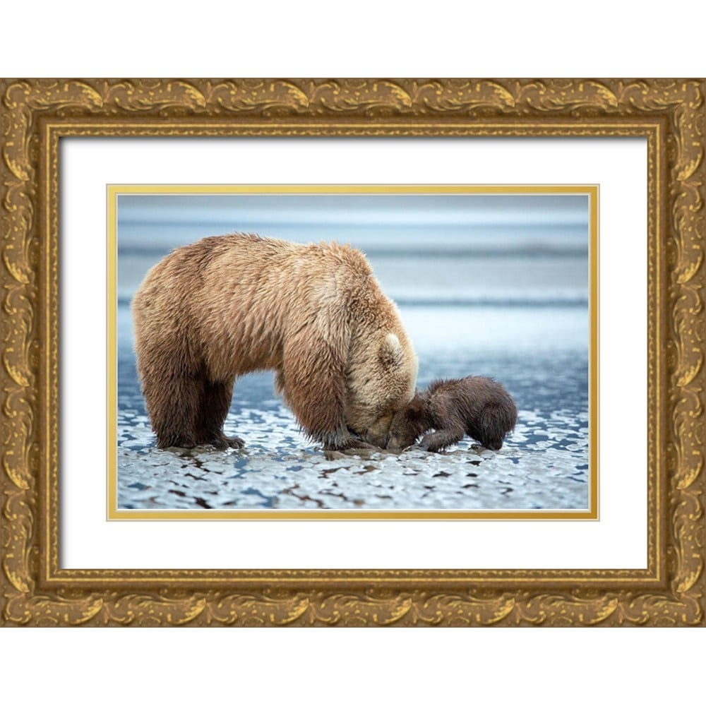 Doyle, Renee 18x13 Gold Ornate Wood Framed with Double Matting Museum ...