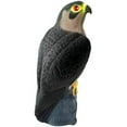 Falcon Decoy Bird Repellent Predator Flashy Reflective Eyes Owl Decoy ...