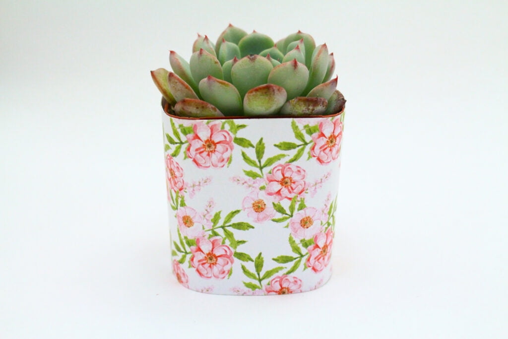Plants Of Joy Floral Pattern #2 Print Succulent Wraps for Weddings ...