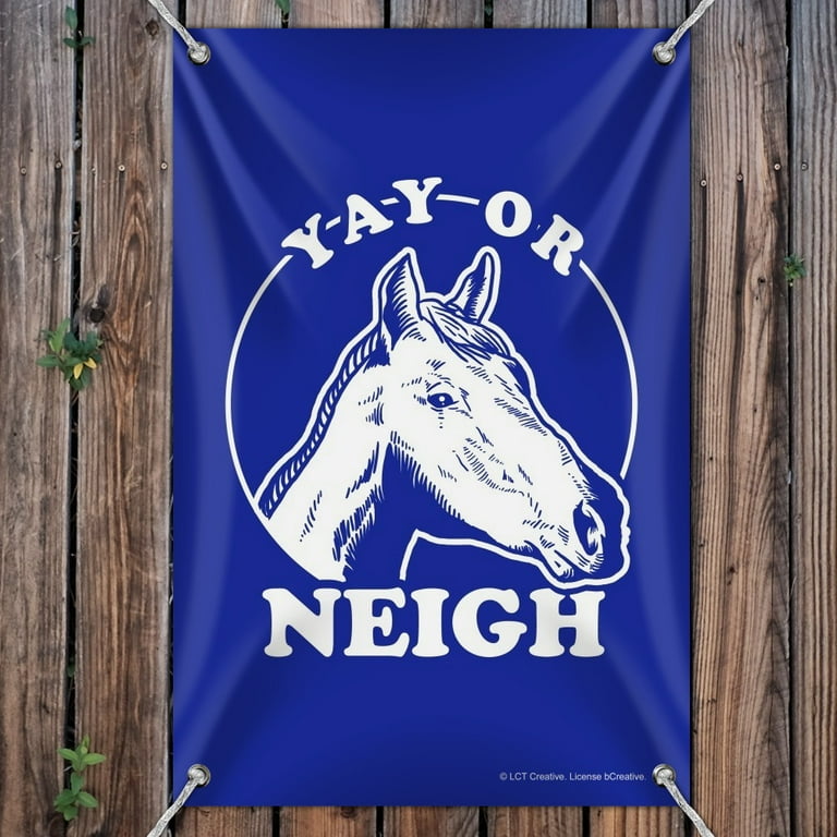 Nay Nay Horse Memes Favorite Horse Memes THE THINKING EQUESTRIAN