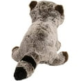 Ringo Raccoon 10 inch - Stuffed Animal by Douglas Cuddle Toys (4147 ...