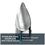 Rowenta Professional XL Ultimate Steam Iron, 1750 Watts, German Made ...