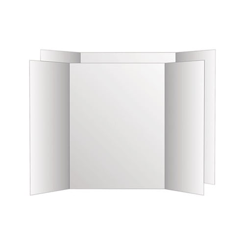 Trifold Display Board