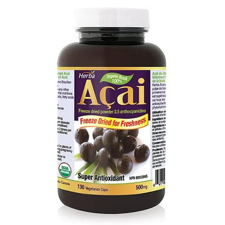 Herba Acai Berry Capsules - 500mg - 130 Capsules | Premium Certified ...