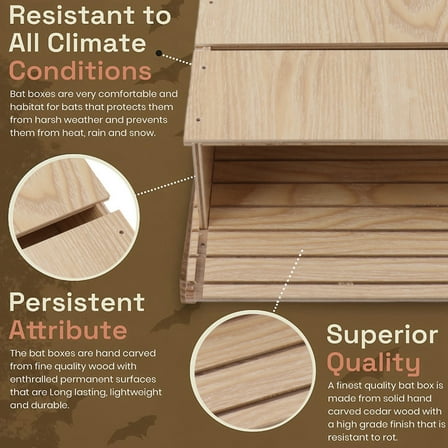 BestNest Triple-Celled Bat House, 250 bats, Wood Construction ...