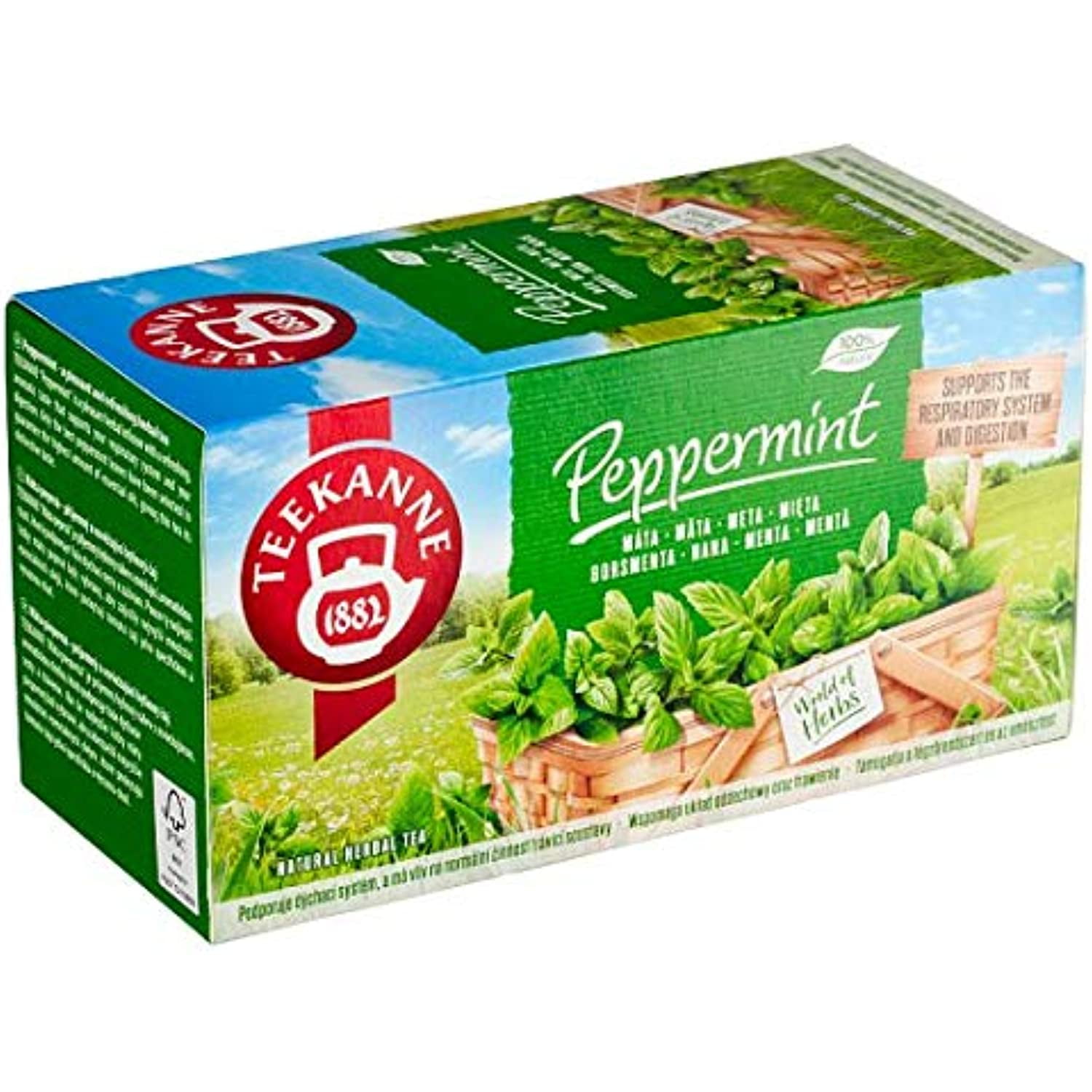 Teekanne Tea, Peppermint - 3 Pack Bundle - Walmart.com