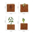 4pcs Simulation Plant Growth Cycle Model Action Figures Soil Seed ...