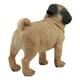 Ebros Large Realistic Fawn Pug Dog Statue 12"L Fine Pedigree Dog Breed ...