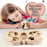 Wooden Toys for Small Pets, 4 in 1 Interactive Hide Treats Sniffing ...