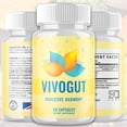 Vivogut Gut Health Pills Advanced Formula Digestion Support Vivo Gut ...