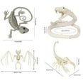 GZZQY Halloween Animal Skeletons Dog Bat Frog Scorpion Spider Snake Rat ...