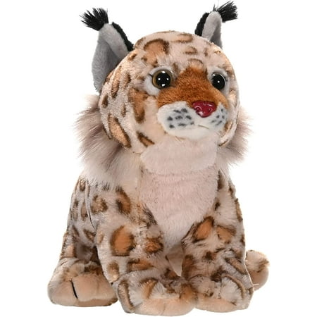 Bobcat Plush, Stuffed Animal, Plush Toy, Gifts for Kids, Cuddlekins 12 ...
