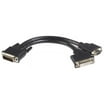 StarTech DMSDPDP1 8in LFH 59 Male to Dual Female DisplayPort DMS 59 ...