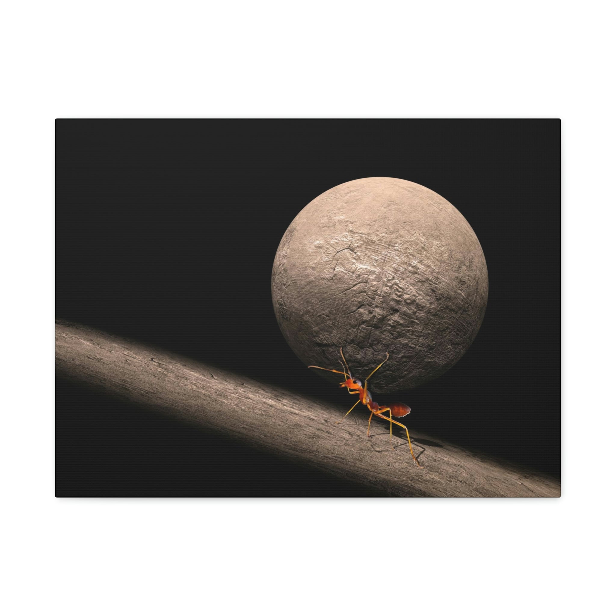 Ant Trying To Carry Huge Stone Ant Carrying Wall Art Ready To Hang ...