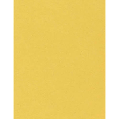 8 1/2 x 11 Paper - Goldenrod (50 Qty.) - Walmart.com - Walmart.com