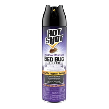 Hot Shot Wasp & Hornet Killer3, 17.5 Ounces, 2 Pack, Aerosol Spray ...