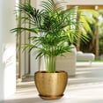 Ceramic Modern Glaze Succulent Planter Pot with Drainage Hole and ...