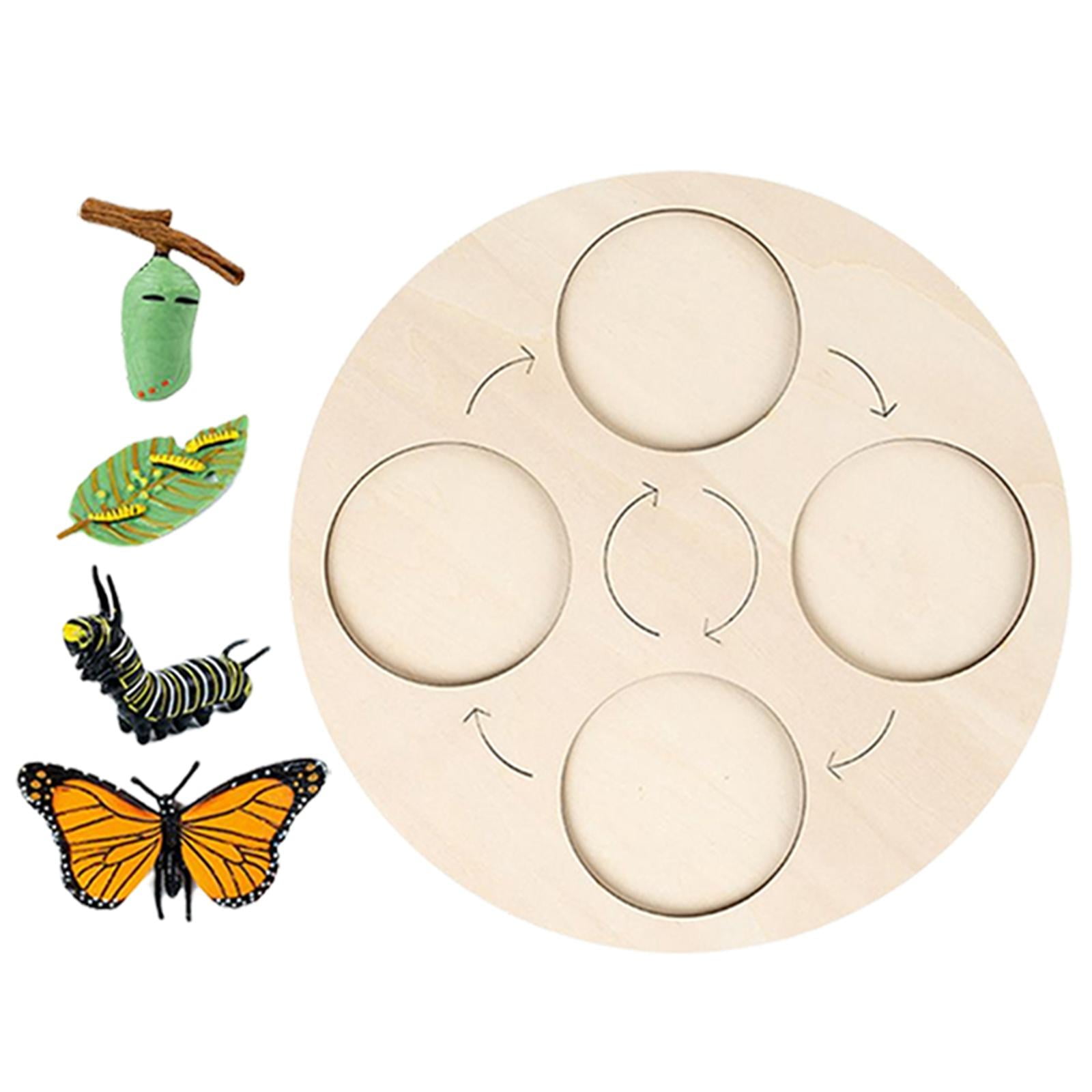 Growth Puzzle Gifts Teaching Aids Toy Butterfly - Walmart.com