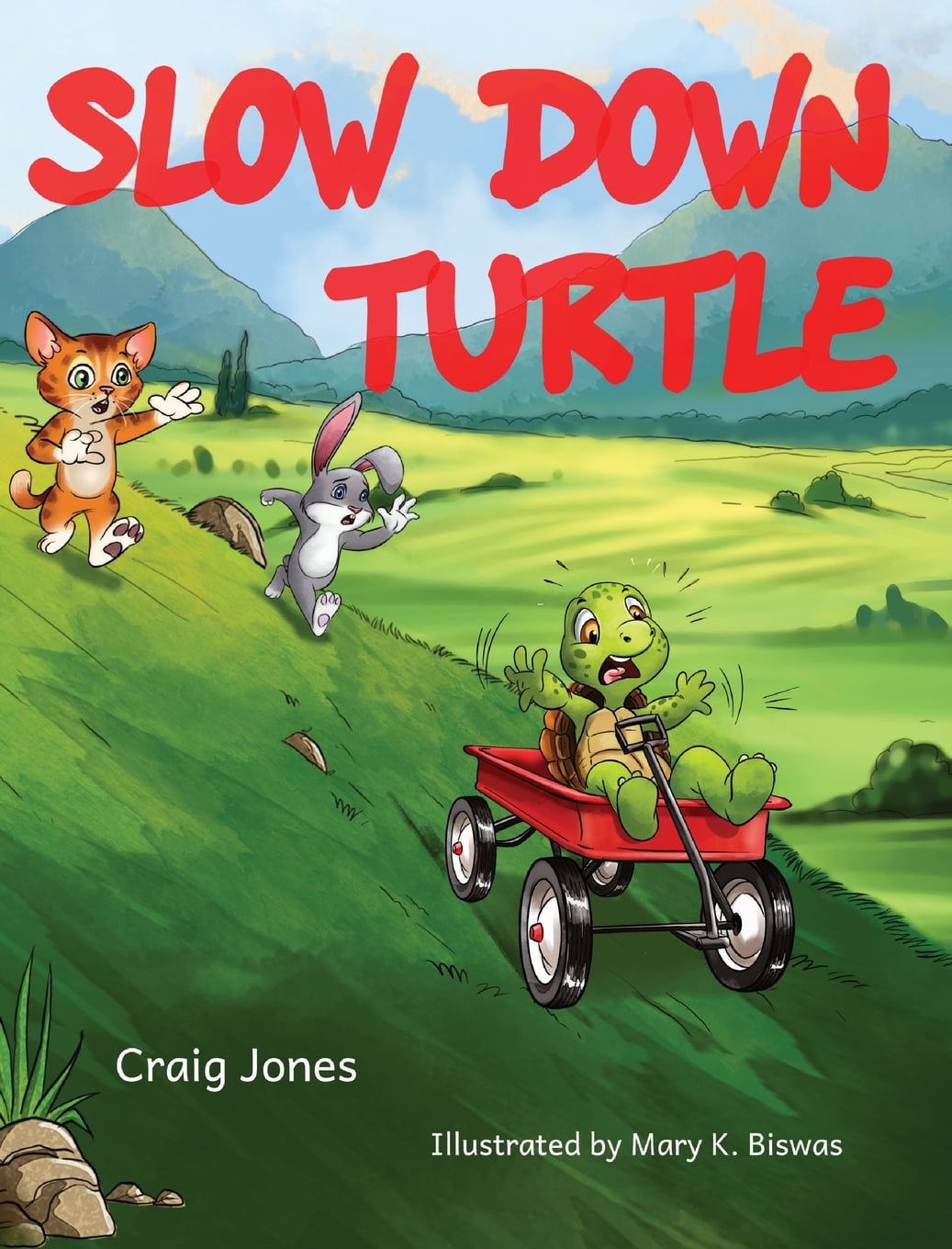 Slow Down Turtle (Hardcover) - Walmart.com - Walmart.com