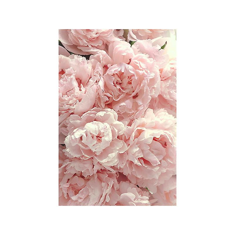 Click here for Languo Floral Peonies Wallpaper 200x250 Tasteful B... prices