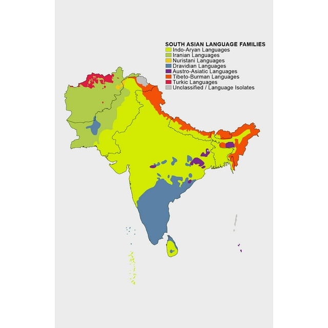 24x36 gallery poster, Map of language families of South Asia, India ...