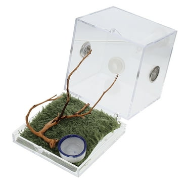 2 Sets Acrylic Mini Reptile Tank Accessories, Mini Tarantula Enclosure ...