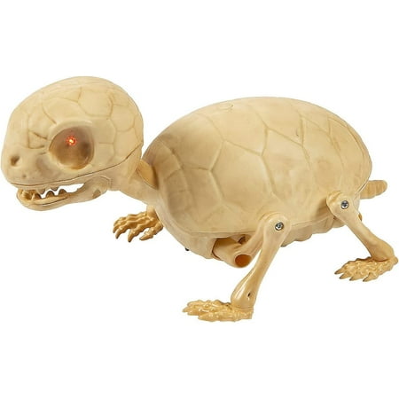 Fun Express Animated Skeleton Turtle Halloween Decoration - Home Decor ...