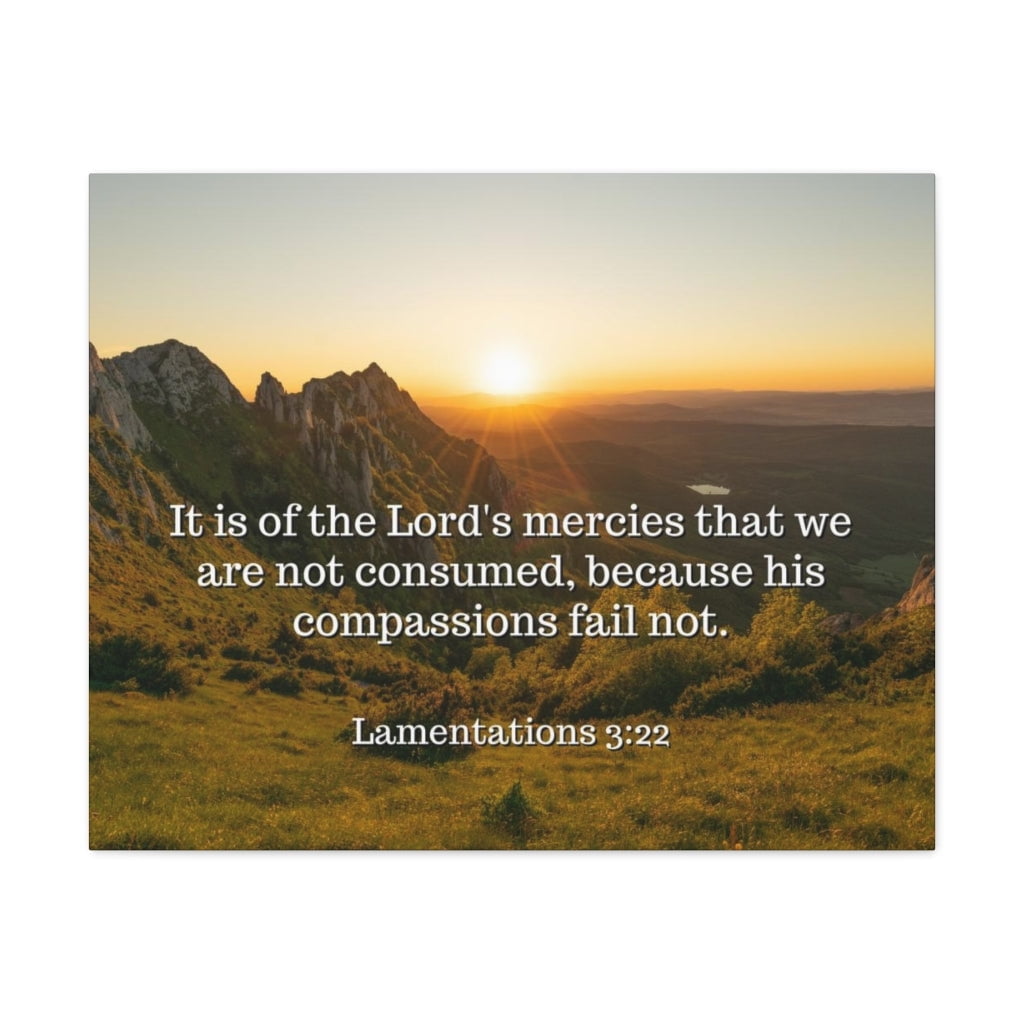 Scripture Walls The Lord's Mercies Lamentations 3:22 Bible Verse Canvas ...