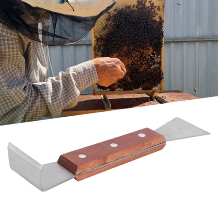 Honey Scraper, Beehive Scraper Beekeeper Equipment Bee Hive Hand Tool ...