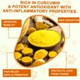 Oimmal Turmeric Curcumin for Dogs - Dogs Hip and Joint Aid Support ...